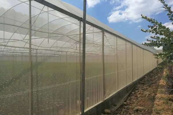 Insect Netting Screens - Greenly Greenhouse